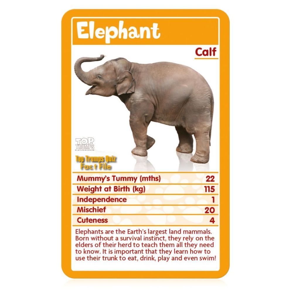 Winning Moves Top Trumps Baby Animals Card Online In UAE Laadlee Winning Moves Top Trumps Baby Animals Card Online In UAE Laadlee